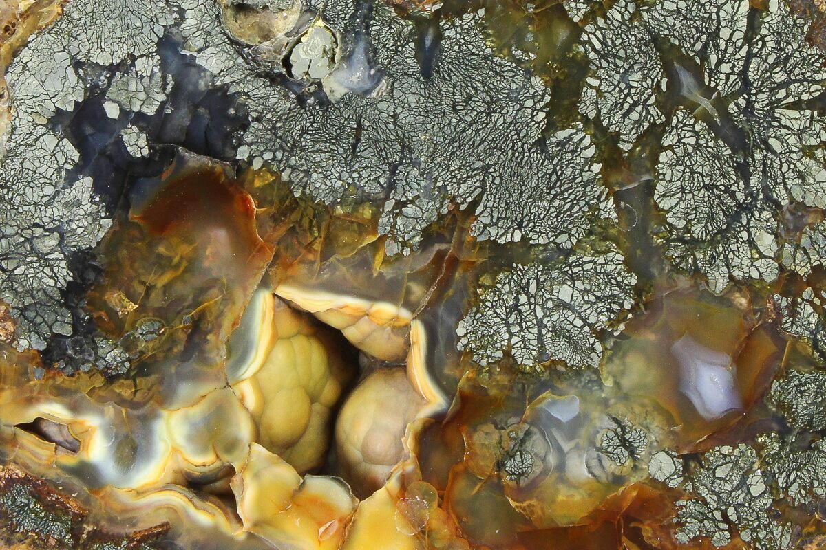 4.5" Colorful Polished Marcasite Agate Section - Indonesia (#316105 ...