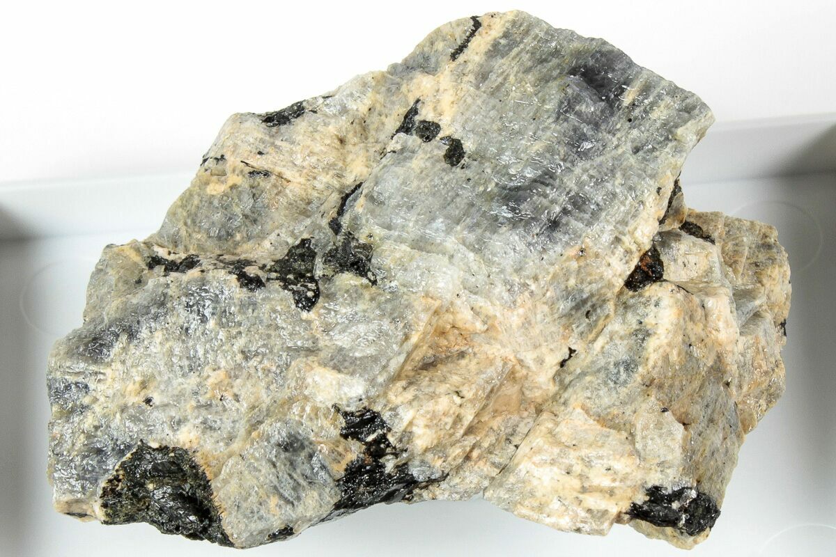 1.7" Adularescent Anorthoclase "Moonstone" Specimen - Norway (#317088 ...