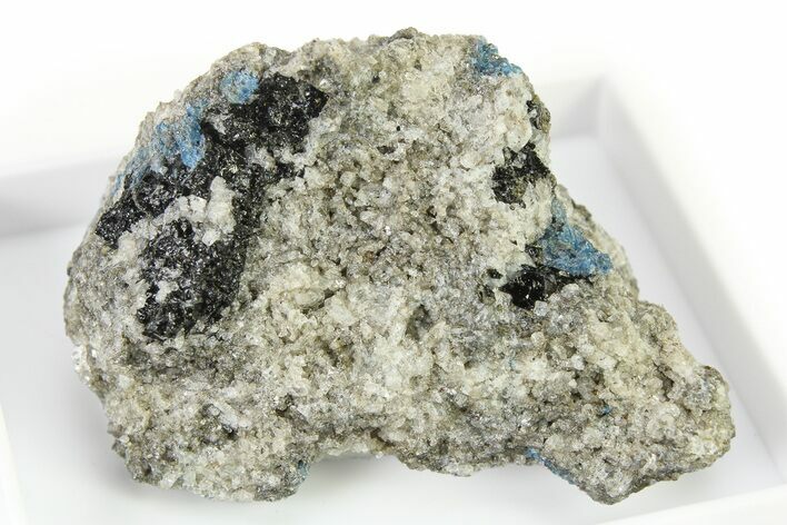 1.25" Vibrant Blue Hauyne with Sanidine and Augite - Germany (#317195 ...