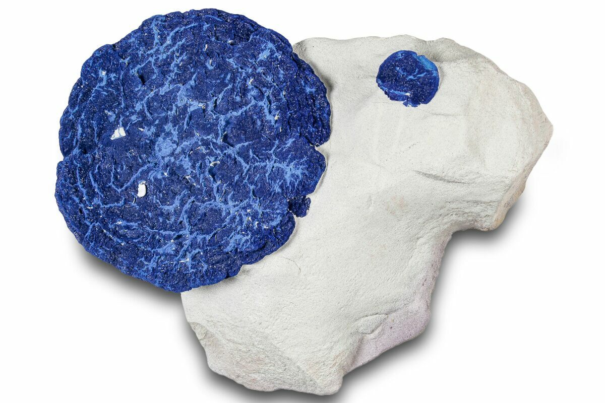 Vibrant Blue Azurite Suns on Siltstone - Australia (#318769) For Sale ...