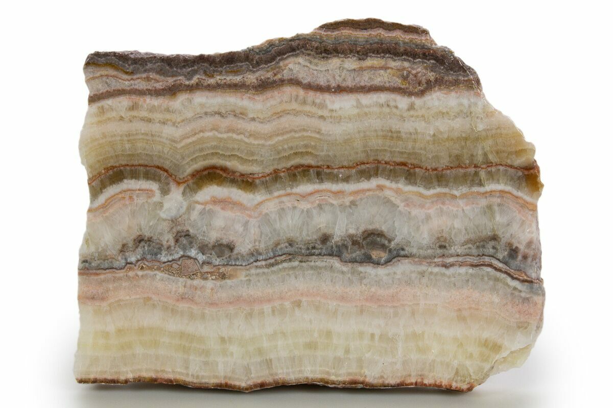 4.8" Polished Banded Travertine Slab - New Mexico (#324321) For Sale ...