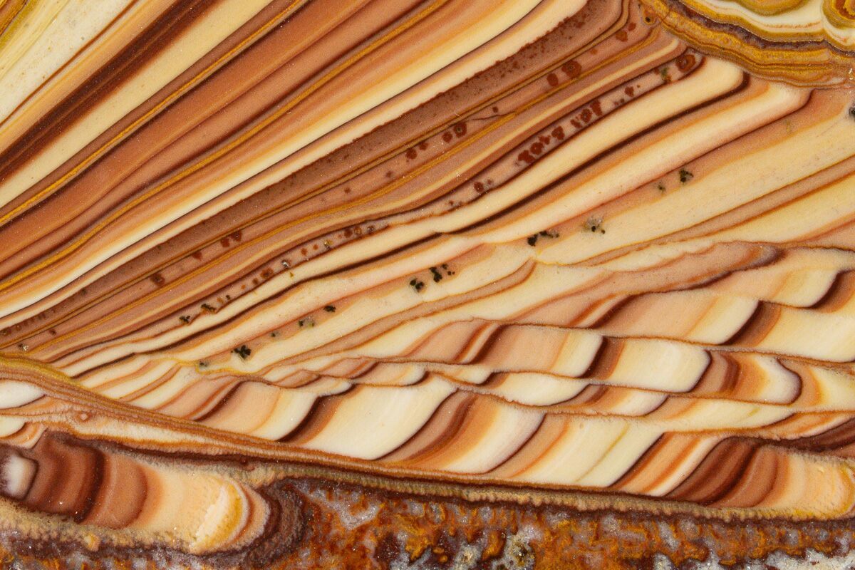 3.7" Polished Slab Of Rolling Hills Dolomite - Mexico (#324425) For ...