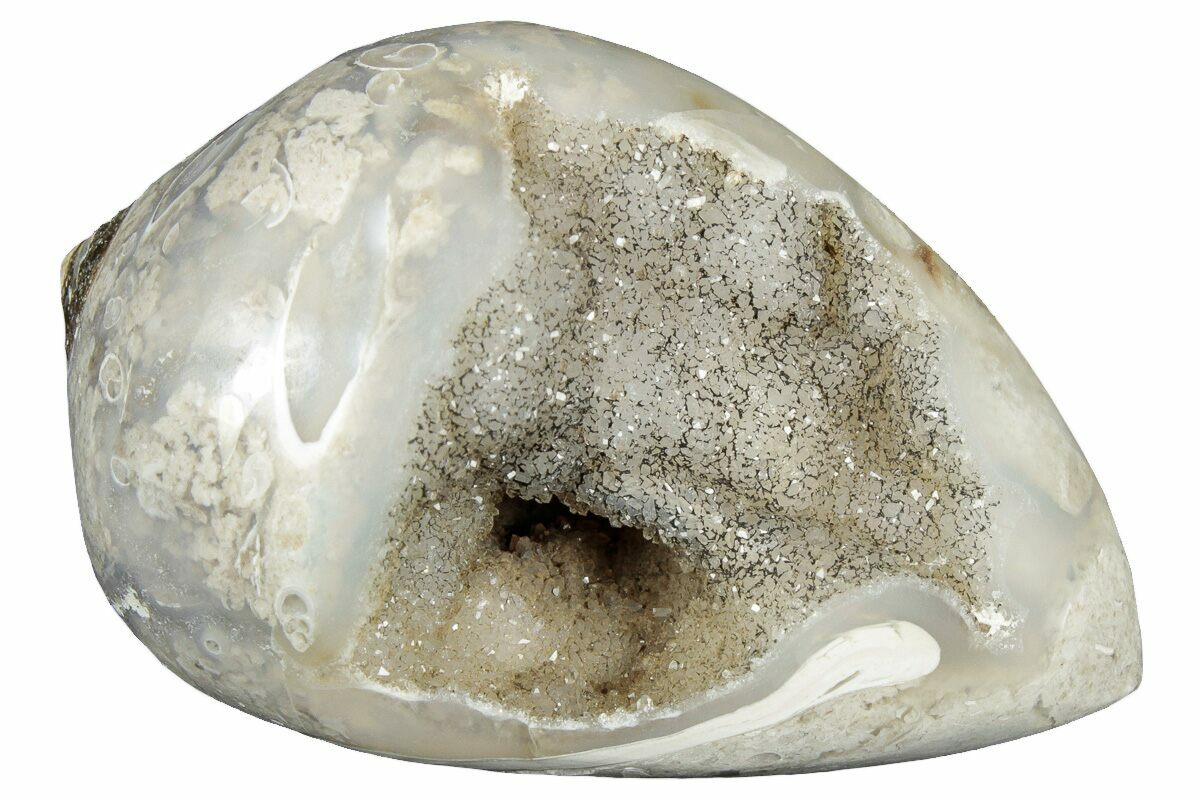 1.85" Chalcedony Replaced Gastropod With Sparkly Quartz - India ...