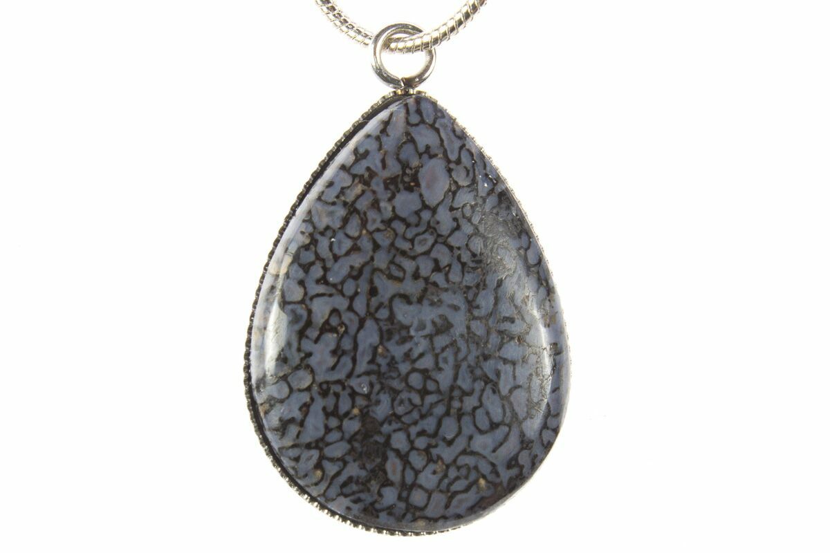 1" Dinosaur Bone (Gembone) Pendant - Includes Chain (#327642) For Sale ...