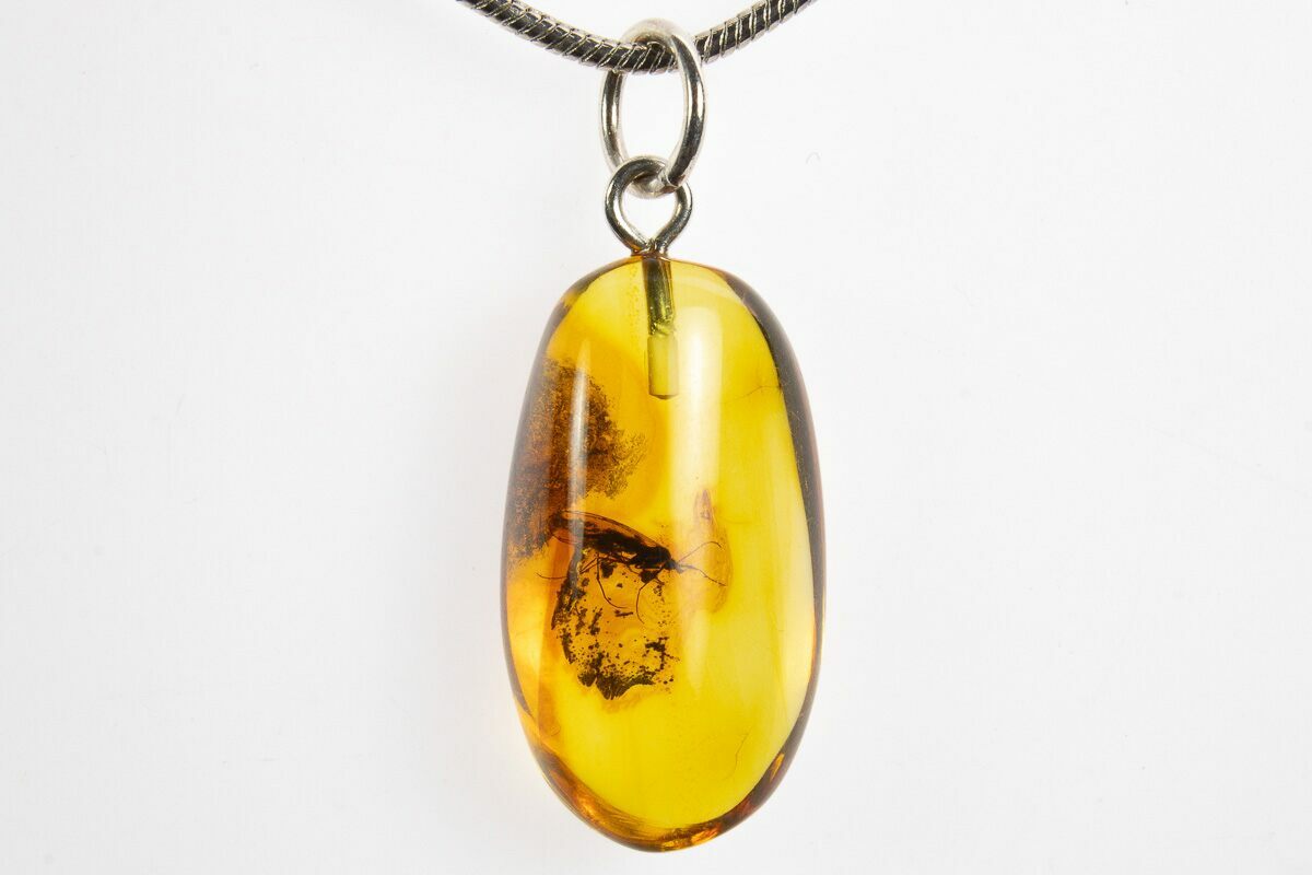 .9" Polished Baltic Amber Pendant (Necklace) - Contains Fly! (#328466 ...