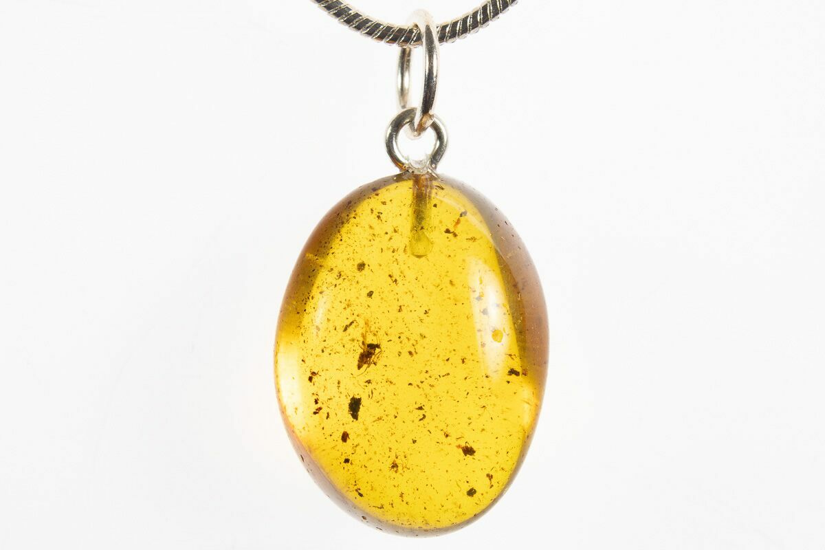 .8" Polished Baltic Amber Pendant (Necklace) - Contains Fly! (#328519 ...