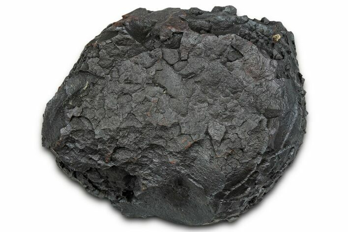 2.6" Dragon Scale Stone (Iron, Manganese, Siderite Nodule) (#330320 ...