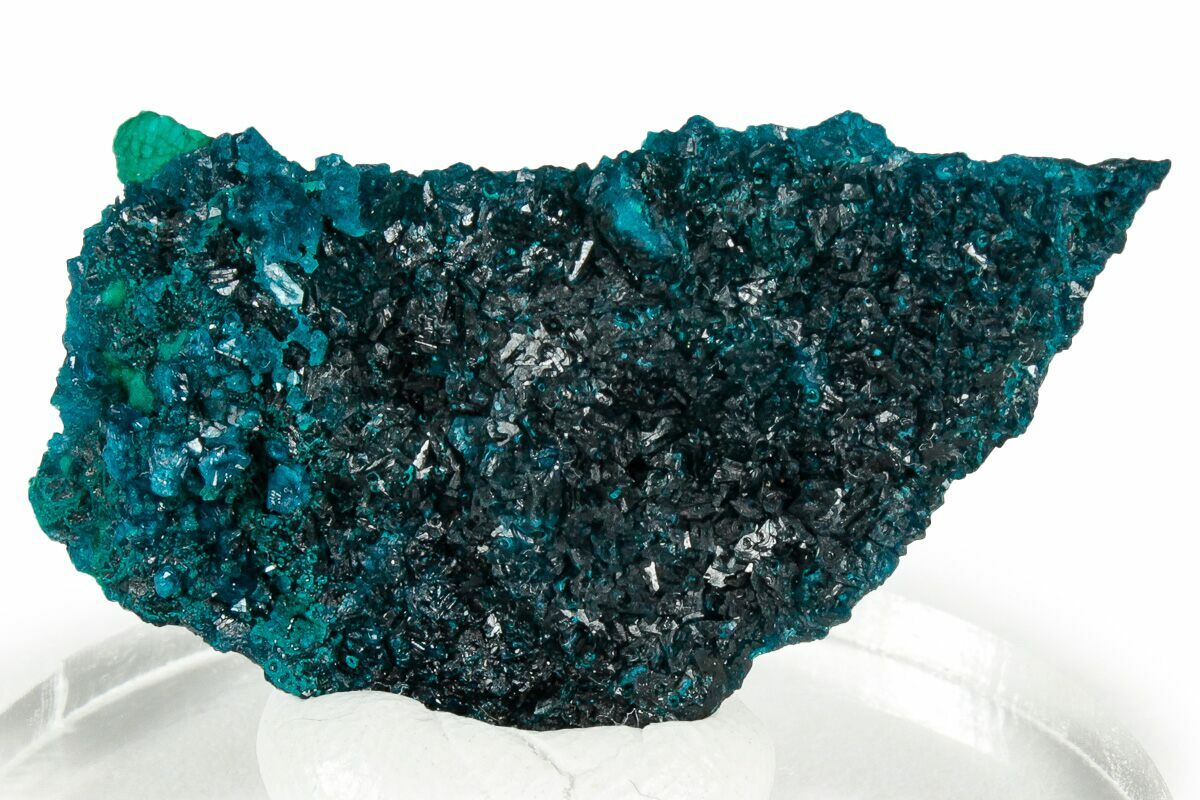 1.4" Vibrant Blue Veszelyite Cluster on Zincolibethenite - Congo ...