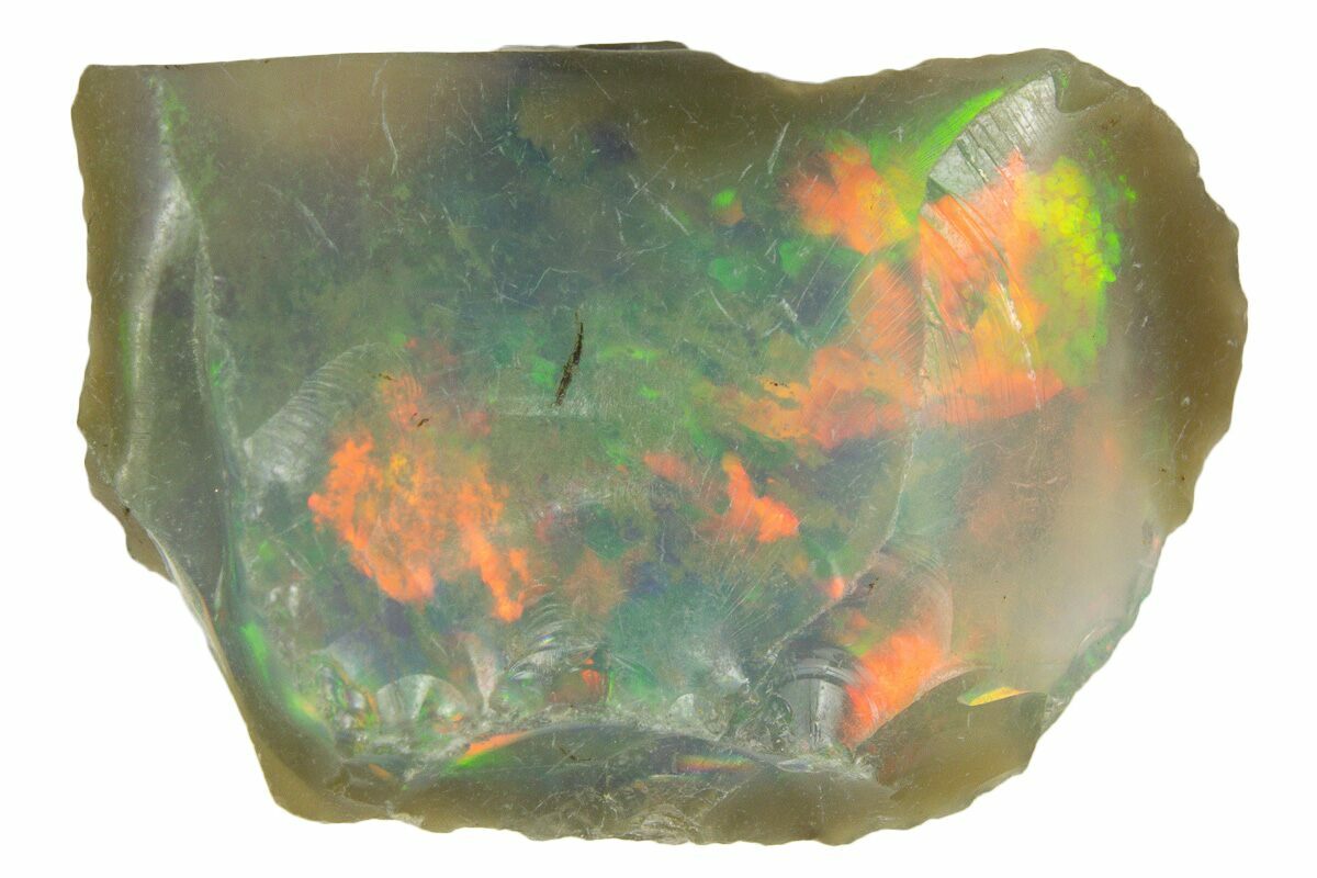 .79" Brilliant Precious Ethiopian Fire Opal (1.5 grams) (#333501) For ...