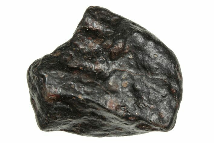 .89" Carbonaceous Chondrite Meteorite (8.37 g) - NWA 4502 (#334360) For ...