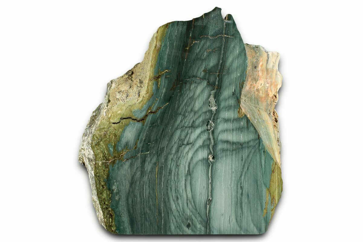5.4" Free-Standing, Gary Green Jasper (Larsonite) Bog Wood - Oregon ...