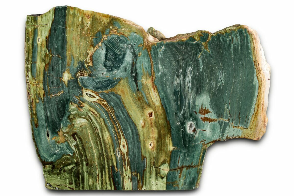 5.75" Free-Standing, Gary Green Jasper (Larsonite) Bog Wood - Oregon ...