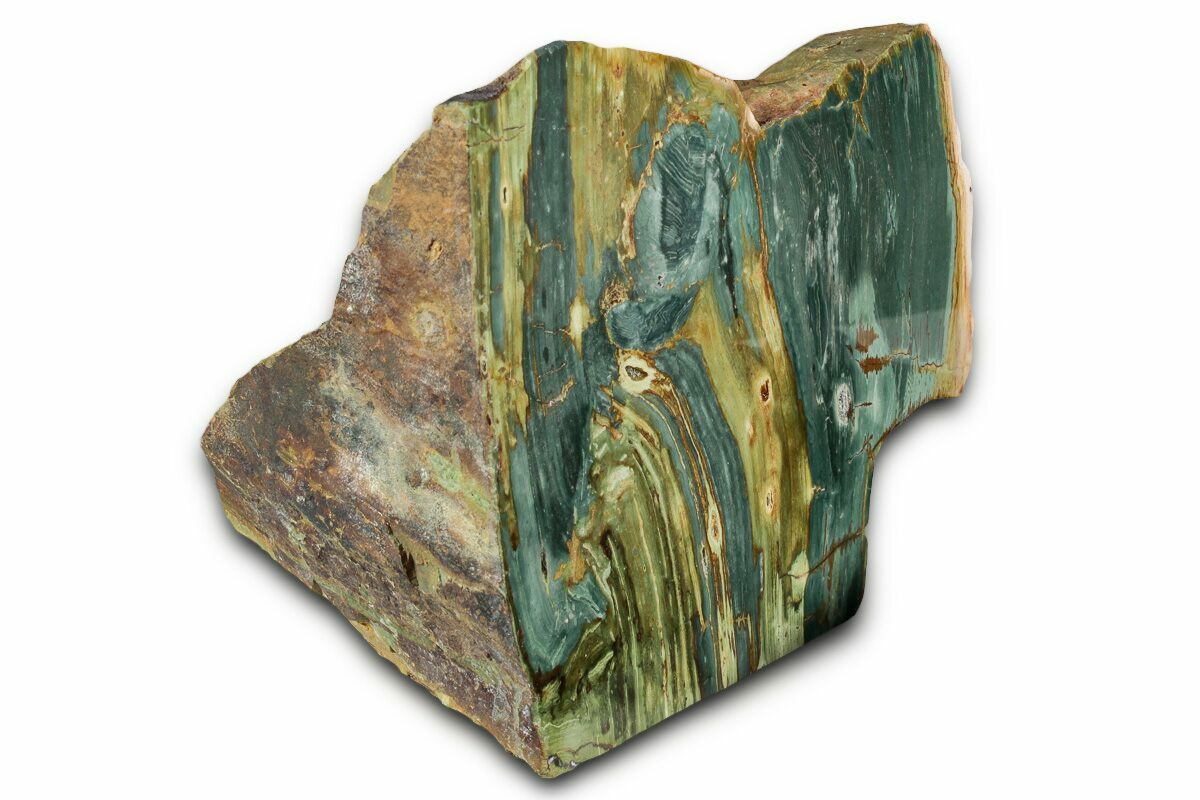 5.75" Free-Standing, Gary Green Jasper (Larsonite) Bog Wood - Oregon ...
