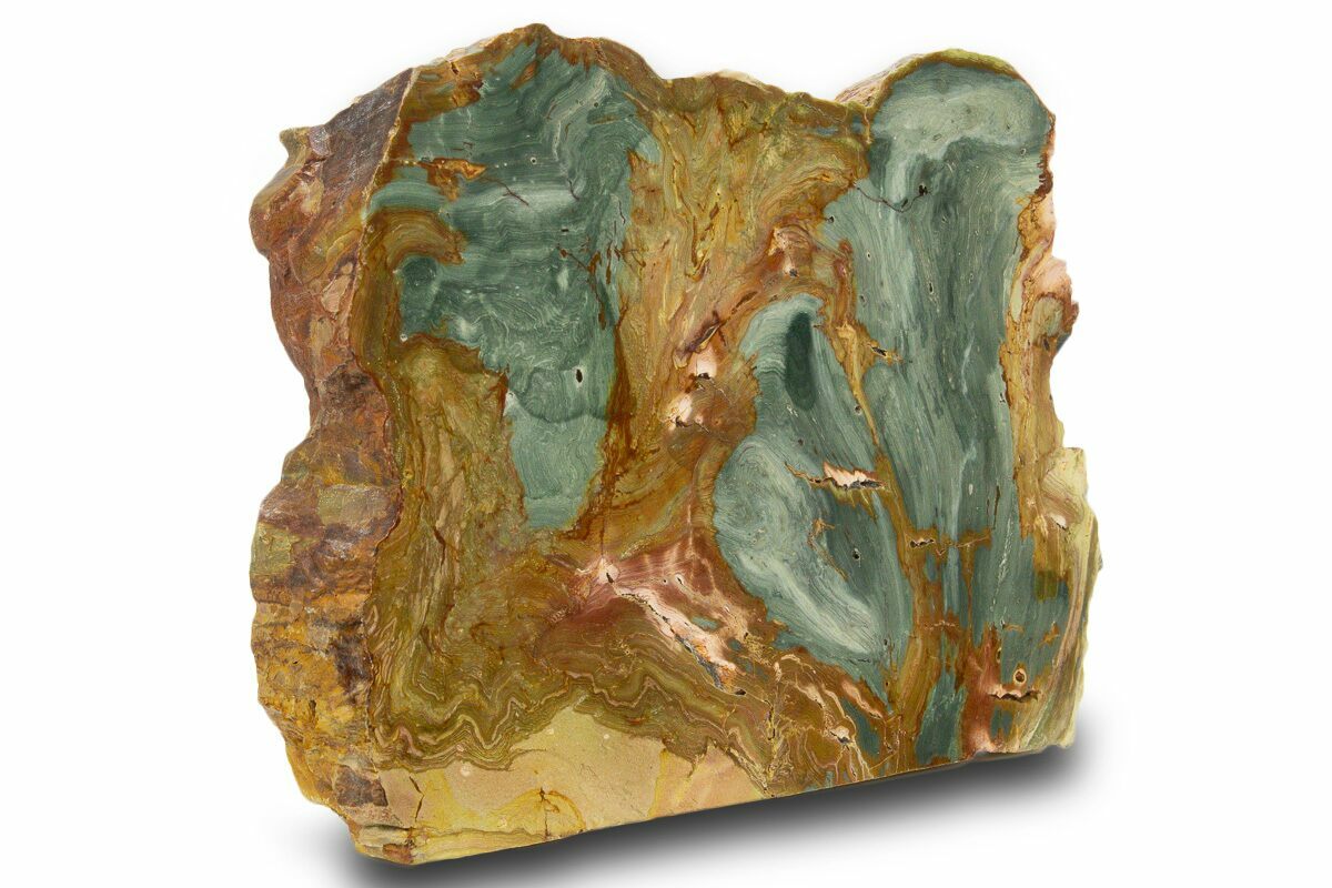 7.3" Free-Standing, Gary Green Jasper (Larsonite) Bog Wood - Oregon ...