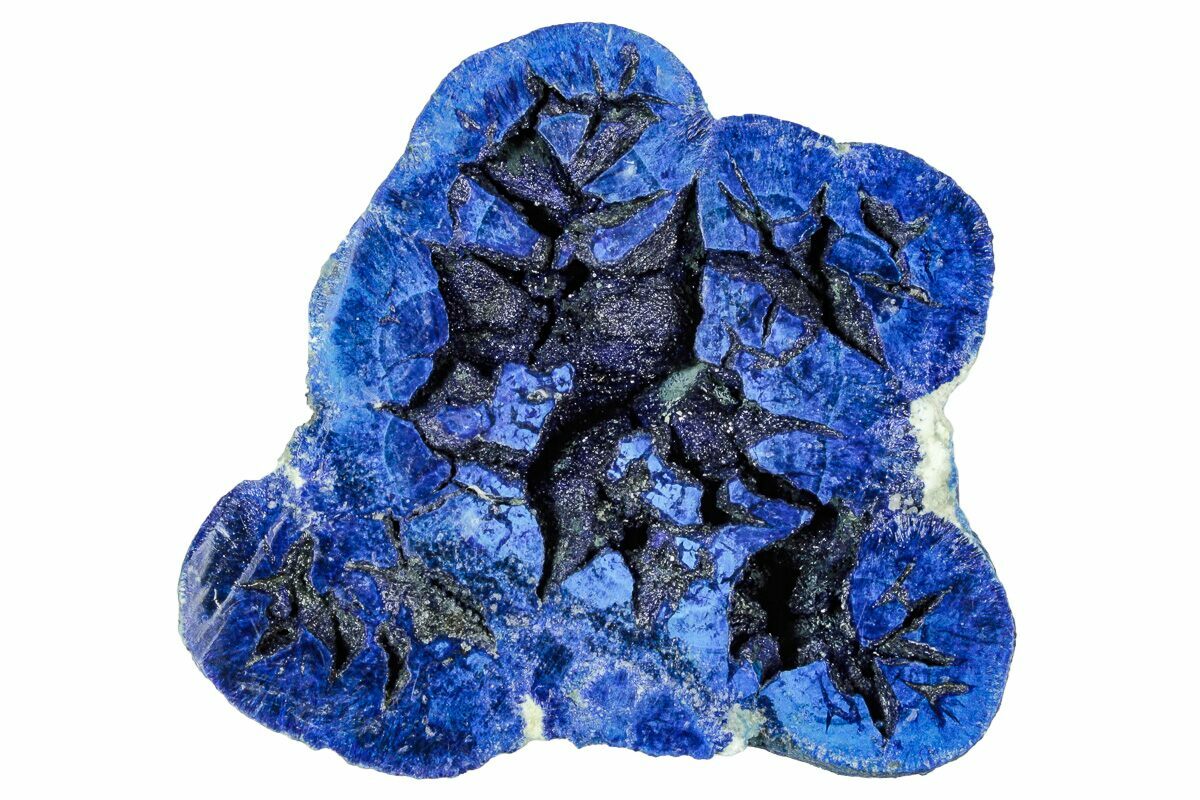 1.9" Vivid Blue, Cut/Polished Azurite Nodule - Siberia (#335252) For ...