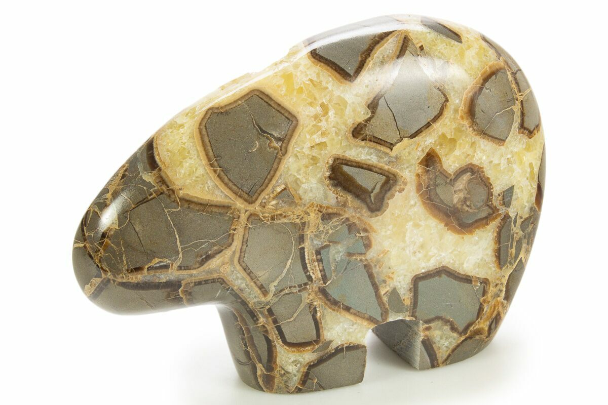 3.9" Calcite-Filled Polished Septarian Bear - Utah (#335288) For Sale ...