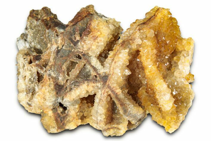 3.3" Sparkling Turkish Citrine Crystal Cluster - New Find! (#336935 ...