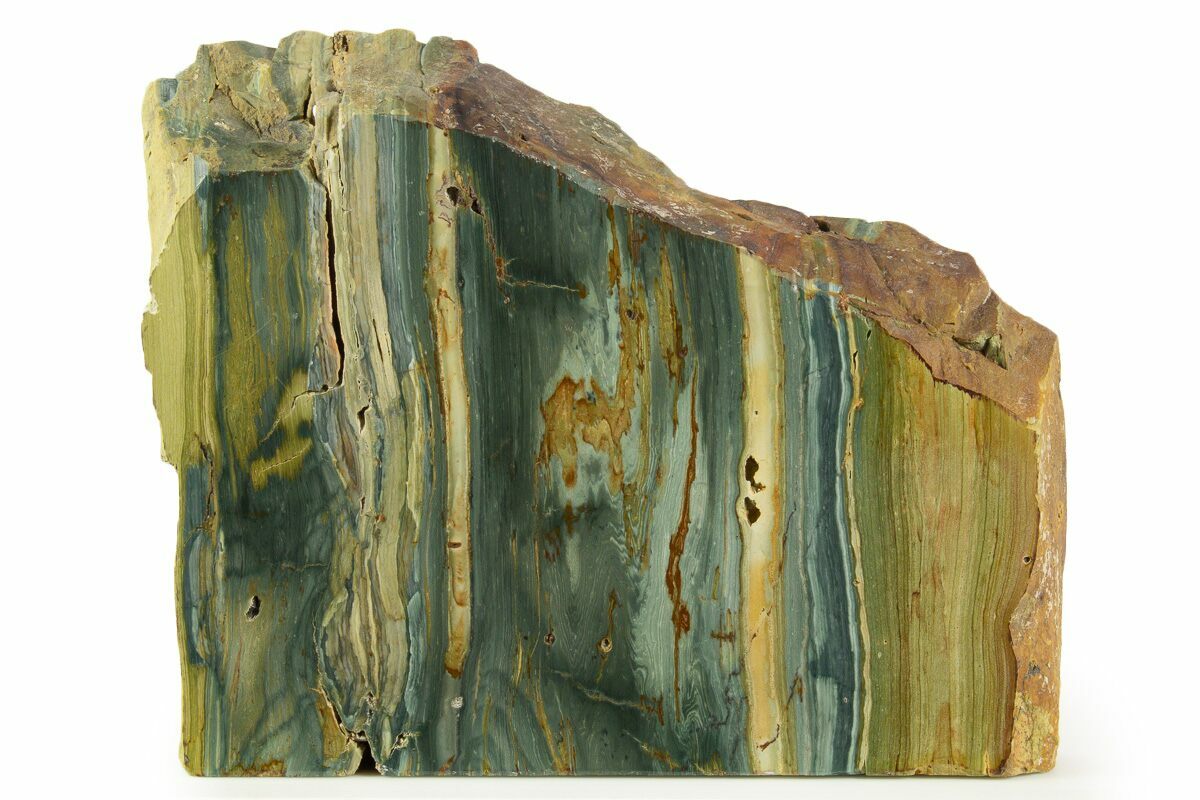 8.05" Free-Standing, Gary Green Jasper (Larsonite) Bog Wood - Oregon ...