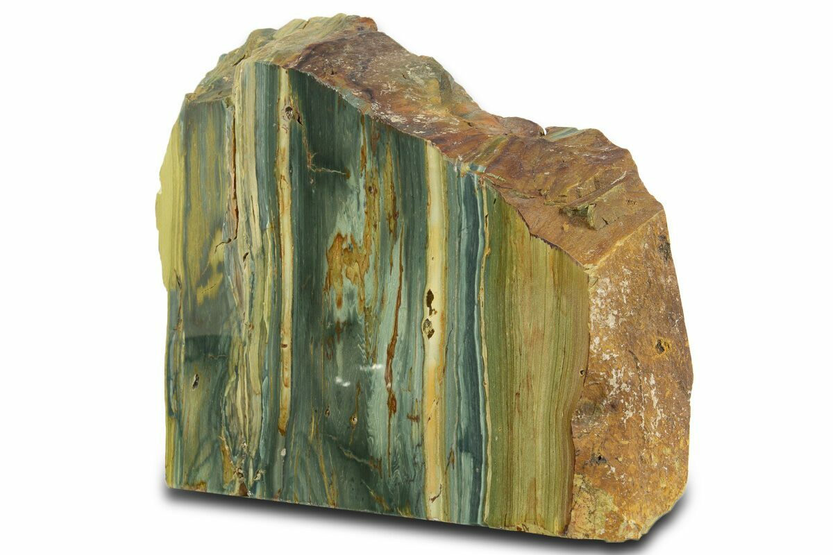8.05" Free-Standing, Gary Green Jasper (Larsonite) Bog Wood - Oregon ...