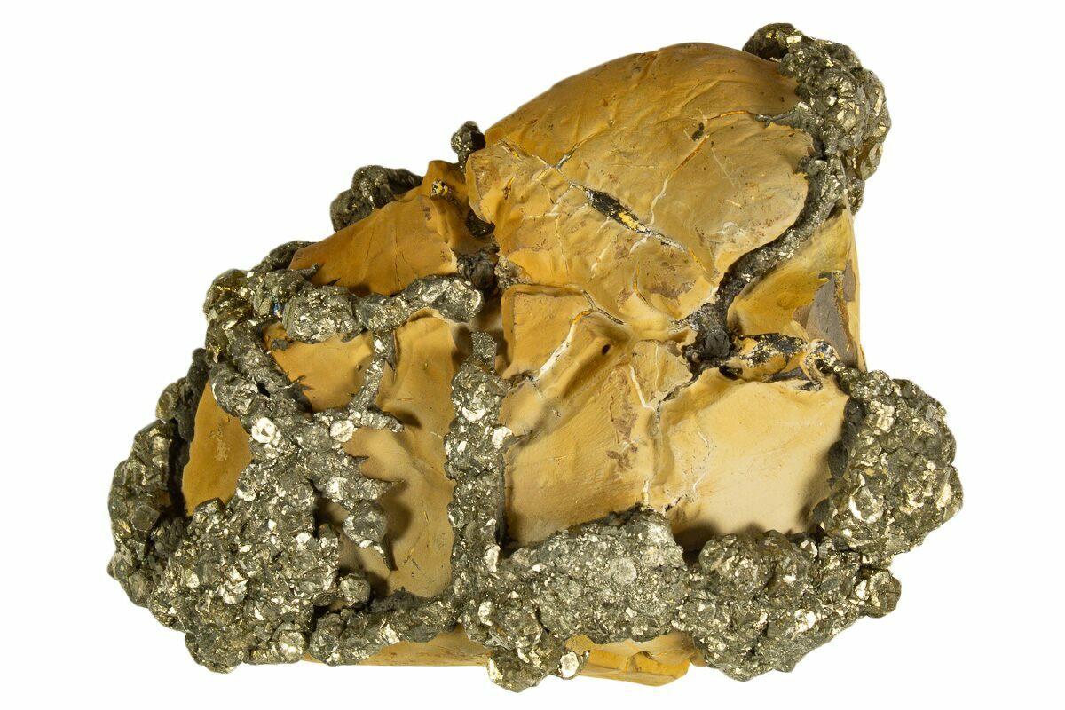 4.5" Golden Pyrite on Limonite Clay - Pakistan (#337938) For Sale ...