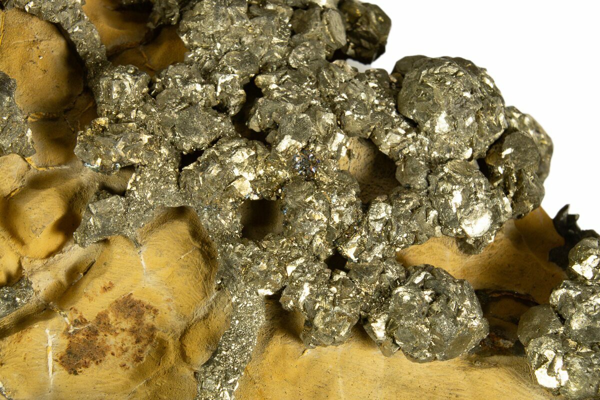 4.5" Golden Pyrite on Limonite Clay - Pakistan (#337938) For Sale ...