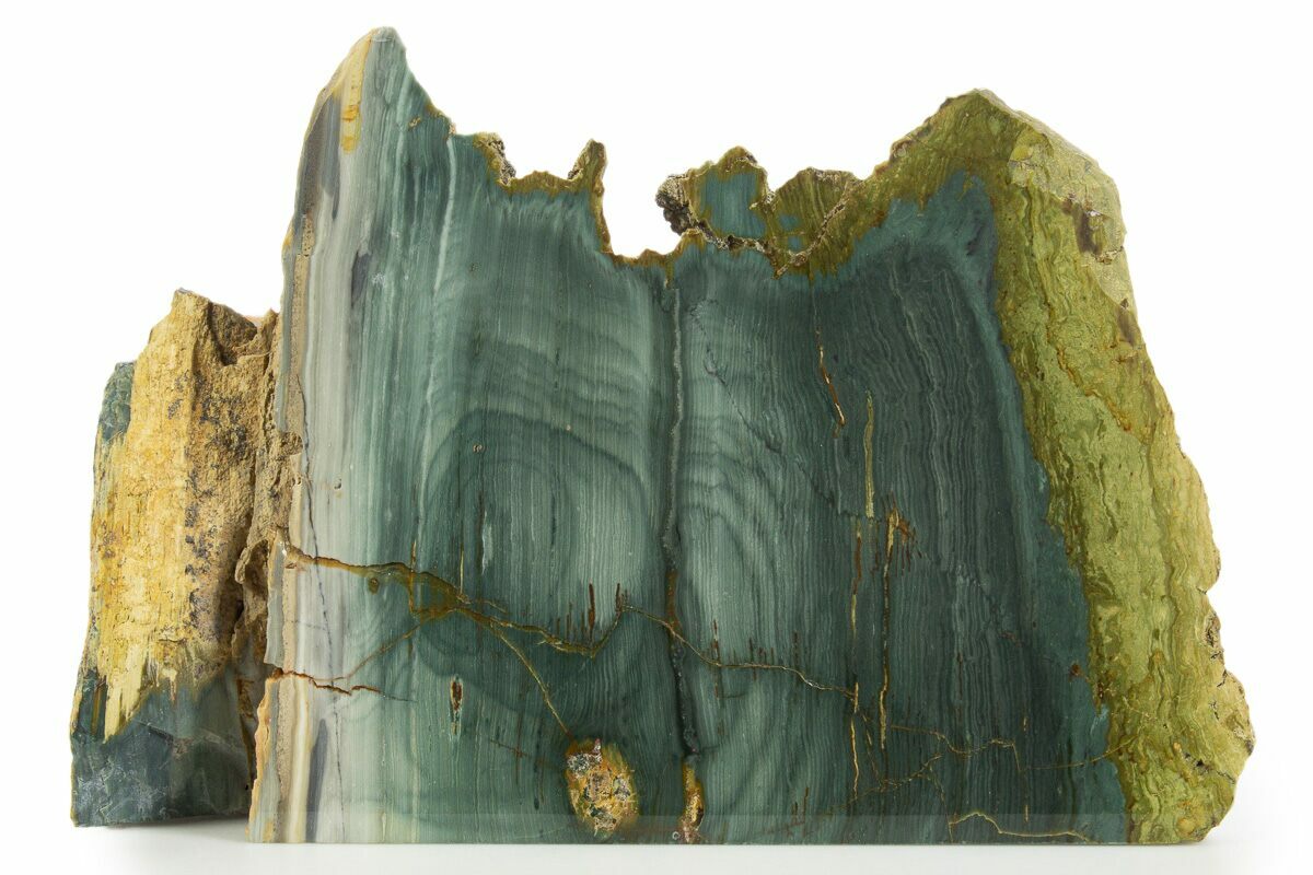 5.8" Free-Standing, Gary Green Jasper (Larsonite) Bog Wood - Oregon ...