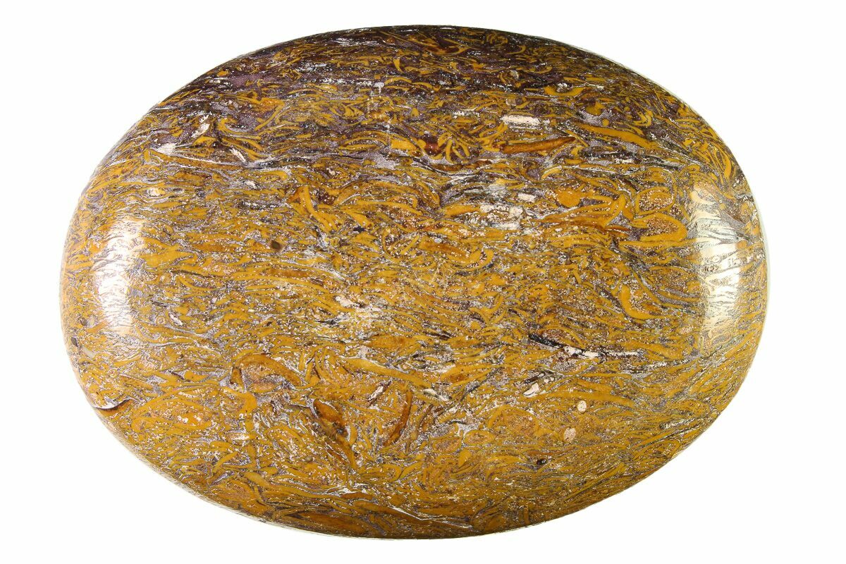 2.5" Polished Miriam Stone Palm Stone - India (#342298) For Sale ...