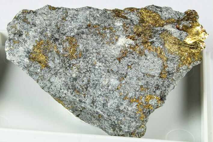 1.8" Brassy Cubanite Specimen - Sweden (#345067) For Sale - FossilEra.com