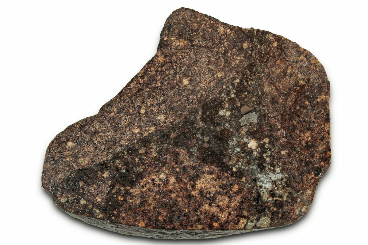 1.77" Chondrite Meteorite Section (22.78 g) - NWA 869 (#347090) For ...