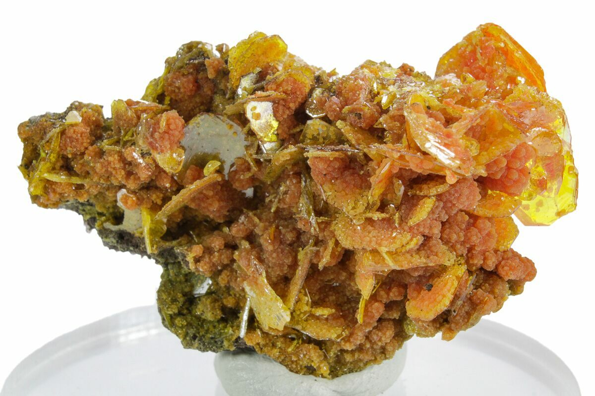 1.8" Botryoidal Orange Mimetite on Windowpane Wulfenite - Mexico ...