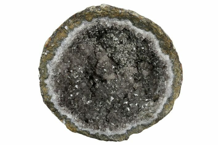 4.9" Las Choyas "Coconut" Geode Half with Smoky Quartz - Mexico ...
