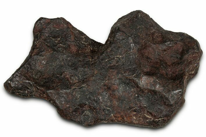 3.15" Canyon Diablo Iron Meteorite (203.27 g) - Arizona (#356013) For ...
