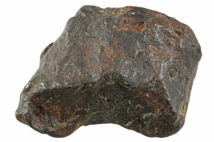 1.28" Canyon Diablo Iron Meteorite (16.91 g) - Arizona (#356097) For ...
