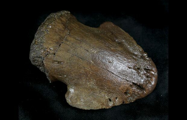 So I recently came across this image from a couple of months ago about ...